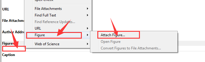 EndNote: Word插件中Insert Figure功能介绍