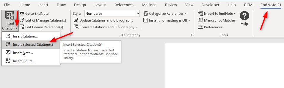 EndNote: How to insert grouped citations