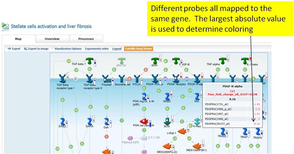 Metacore Processes In Metacore For Uploaded File That Has More Than
